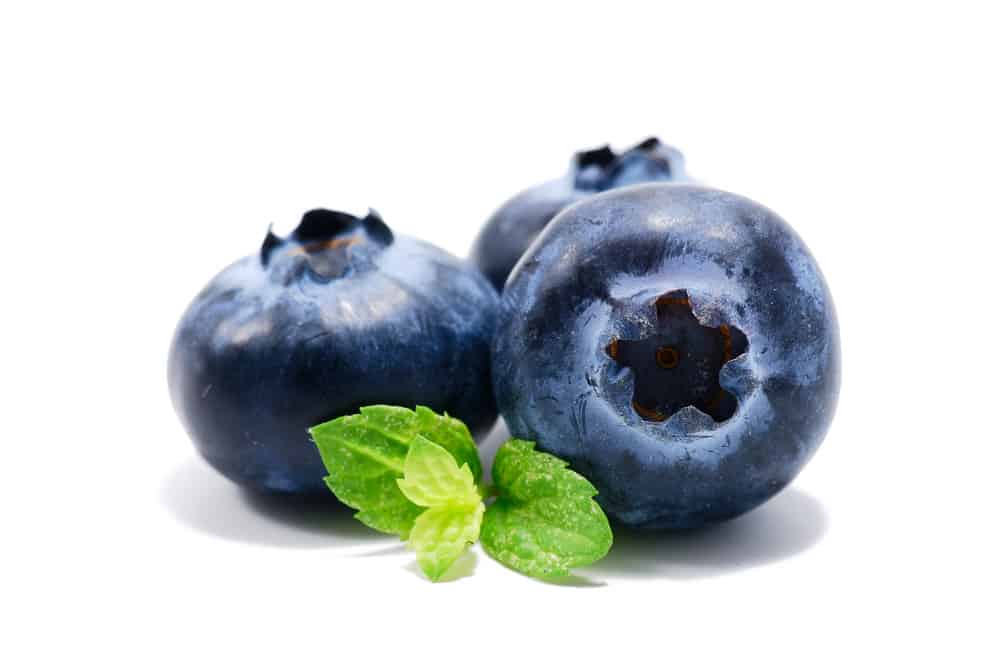 Heidelbeeren: Wirkung des kalorienarmen Snacks für Sportler | MNSTRY ...